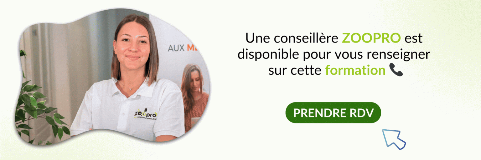 Préparez l'ACACED en ligne : Cours complets et certifiés | Zoopro